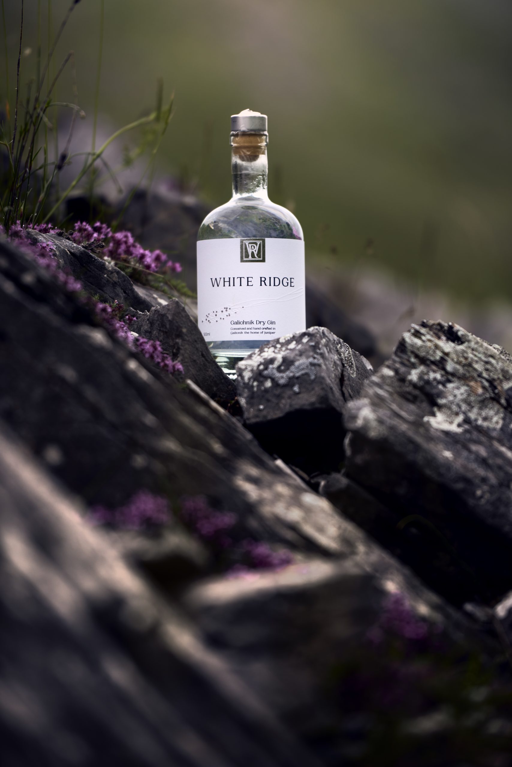 International Drinks Specialists Feedback Evaluation